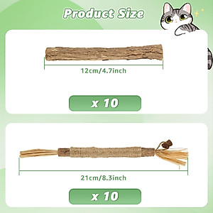 LDXDRU 20Pcs Silvervine Sticks for Cats, Natural Cat Chew Toys, Nylatails Silvervine Dental Stick for Dental Care, Edible Matatabi Cat Chew Sticks for Teeth Cleaning, Kitty Toys for Indoor Cats