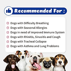 Branvine Respiratory Guardian for Dogs - Supports Lung Health, Nasal, Bronchial and Tracheal, Vegan Bacon Flavor (135g) with Quercefit® and Respiratory Probiotics