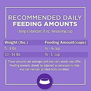 Purina Cat Chow Gentle Dry Cat Food, Sensitive Stomach + Skin - 13 lb. Bag