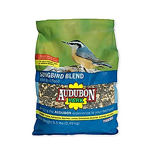 Audubon Park 12230 Songbird Blend Wild Bird Food, 5.5-Pounds, 4.5 lb, Green