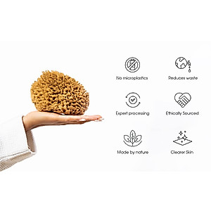 Naroa Soft Natural Sponge | Gentle Sea Sponge for Bathing Healthy Skin | Unbleached Shower Body Scrubber Puff | Eco Friendly Bath Spa Sponge (Soft - Medium)