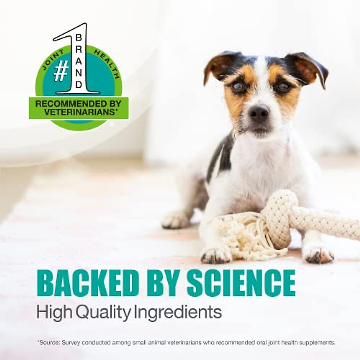 Nutramax Dasuquin Joint Health Supplement for Small to Medium Dogs - With Glucosamine, Chondroitin, ASU, Boswellia Serrata Extract, Green Tea Extract, 150 Chewable Tablets