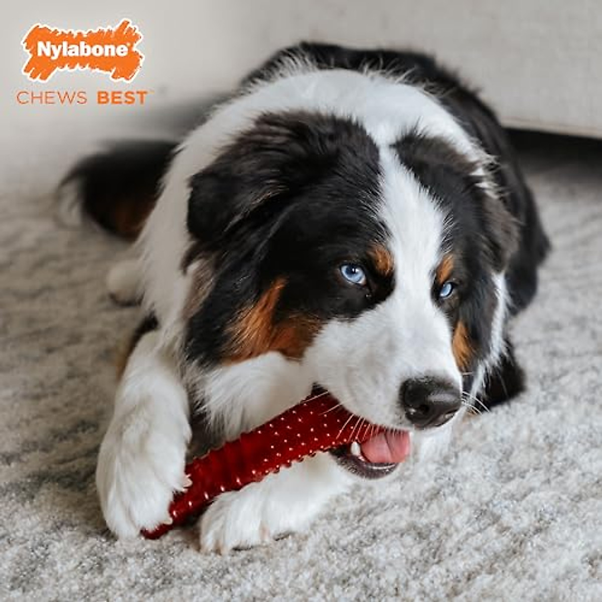 Nylabone Power Chew Basted Blast Dual Flavored Dog Chew Toys for Aggressive Chewers - Durable Dog Bones with 2 Layers of Flavor - Bacon and Steak Flavor, X-Large/Souper (1 Count)