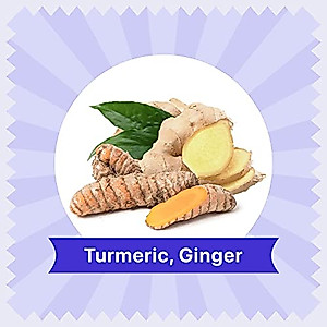 BLUE TEA - Turmeric Ginger Tea - 15 Tea Bags | PRIME SAVING DAY | AYURVEDIC BLEND | Detox Tea - Immunity Booster - Caffeine-free - Vegan - Non-GMO - Gluten Free - Natural Ingredients | Tin Pack