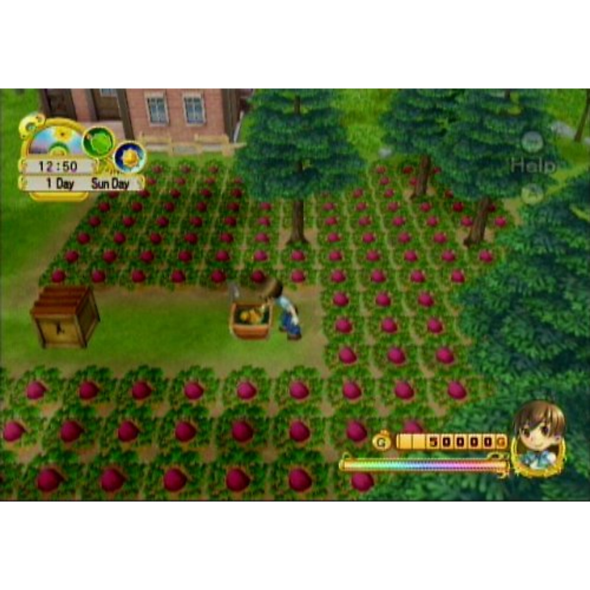 Harvest Moon: Tree of Tranquility - Nintendo Wii