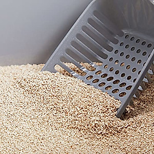 So Phresh Extreme Clumping Unscented Grass Seed Cat Litter, 20 lbs.