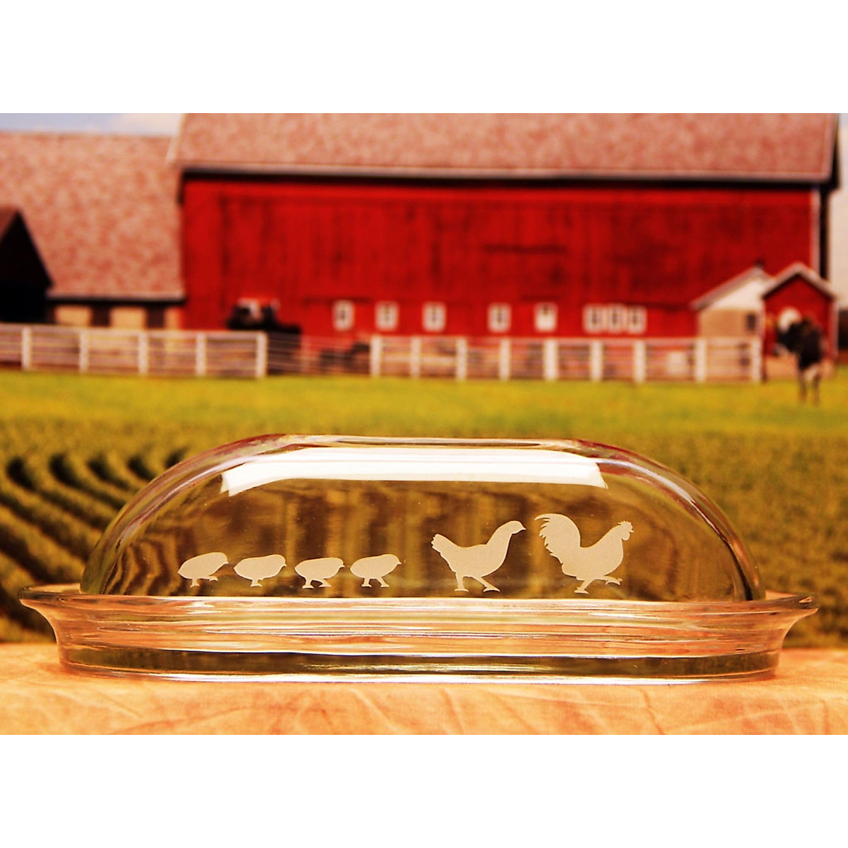 Armour Etch 15-0200 Etching Cream, White, 10