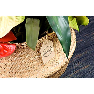 Chinoxinh Seagrass Woven Belly Basket with Handles - Multipurpose Handmade Wicker Rural Storage for Plant, Pot Decor, Laundry, Clothes, Blanket, Grocery and Outdoor Picnic (Original XXX-Large 14x16in)