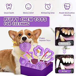 ABRRLO 6 Pack Puppy Teething Toys Cute Small Dog Toys Durable Puppy Chew Toys for Teething Essentials Purple Soft Rubber Small Breed Dog Squeaky Toys Balls for Puppies Interactive Doggy Chews Toys Set