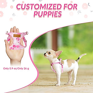 Lukovee Puppy Harness and Leash Set, No Pull Lightweight Soft Suede Adjustable Pet Harness Vest with Snap Buckle for Puppy Small and Medium Size Dog (Pink Strawberry, XXS)