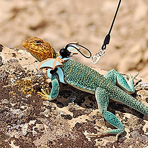 Bearded Dragon Leash and Harness Adjustable Leather Wings Costume Clothes from Baby to Juvenile Lizard Iguana Gecko Chameleon Hamster Ferret Reptile Walking Carrier Accessoreis S M L 3 Pack (Sky Blue)
