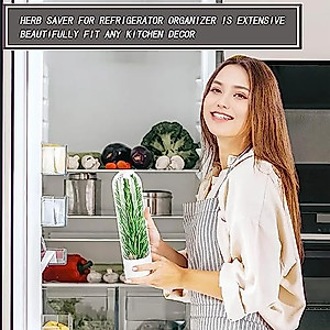 Vamrak Herb Saver for Refrigerator, Fresh Herb Keeper, Cilantro Containers for Refrigerator, Herb Saver Pod, Fresh Herb Keeper for Cilantro, Parsley, Asparagus, Keeps Vegetables for 2-3 Weeks (3PCS)