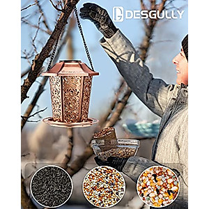 Solar Bird Feeders for Outdoors Hanging - Premium Grade Metal Bird Feeder, Chew-Proof, Weather and Water Resistant Wild Bird feeders, Outside and Garden Decoration (Standard)