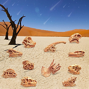 LC JoyCre Mini Dinosaur Bones for Sandbox Kids Toys Realistic Fake Dinosaur Bones for Kids Toys Dinosaur Bones for Kids to Dig Up