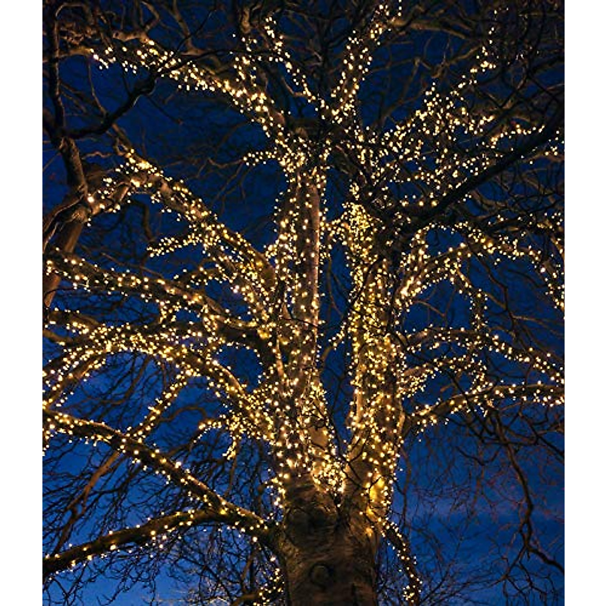 DecoBrite Incandescent 69ft (21m) 300 ct Christmas String Lights Clear with Green Wire, Indoor Outdoor Christmas Lights Decorations for Tree, Patio, Garden（300 Clear Bulbs with Green Wire