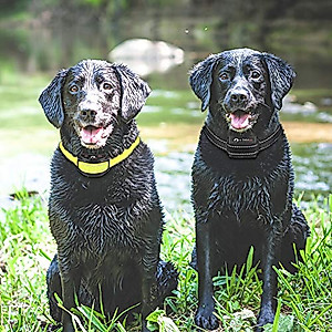 Paipaitek Collar Replacement Strap Compatible with Petsafe, Patpet, Garmin, Dogtra, Petrainer, Dog Care, Sportdog Field Trainer, Trainpro Dog Training Collar Receiver