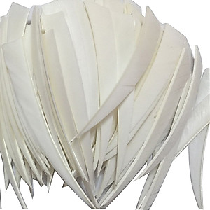 JIEXI HWYP Archery Fletches 5" Turkey Feather Shielded Shape Pack of 100 (White, Left Wing)