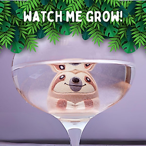 Boxer Gifts Water Growing Toys – Sloths Stocking Stuffers Kids & Adults-Fun Pass The Parcel Gifts & Bingo Items, Brown