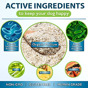 Nutrition Strength Psyllium for Dogs Complex to Promote Your Pet's Gut Health, Stimulate Healthy Digestion, Support Normal Bowel Function, with Psyllium + Inulin, Bromelain & Protease, 90 Soft Chews