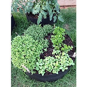 Smart Pot 100511247 Big Bag Fabric Raised Bed, Original, Black