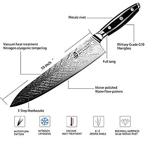 TUO Chef Knife - Kitchen Knives 10-inch High Carbon Stainless Steel - Pro Chef Vegetable Meat Knife with G10 Full Tang Handle - Black Hawk S Knives Including Gift Bo