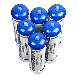 GreatWhip Whipped Cream Chargers, 6 Cylinders 0.99 Liter Nitrous Oxide Chargers 615 gram N20 (6 Cylinders)