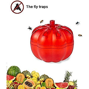 Stingmon 4 Pack Fruit Fly Trap Indoor, Gnat Killer for Kitchen, Fly Trap Catcher for Home, Gnat Traps Indoor