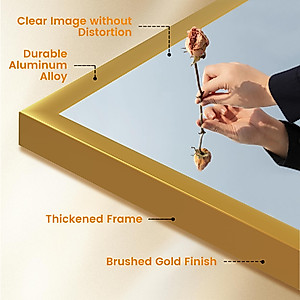 NeuType Full Length Mirror Gold Mirror Full Length Floor Mirror with Standing Hanging Mirror Dressing Mirror Wall-Mounted Mirror Full Length Mirrors for Bedroom Floor Length Mirror, 64" L x 21" W