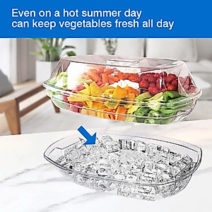 INNOVATIVE LIFE High-end Veggie Fruit Tray with Lid, Ice Chilled Vegetable Serving Platter with Ice Tray on Bottom, Perfect for Entertaining, Parties and Buffet, Clear