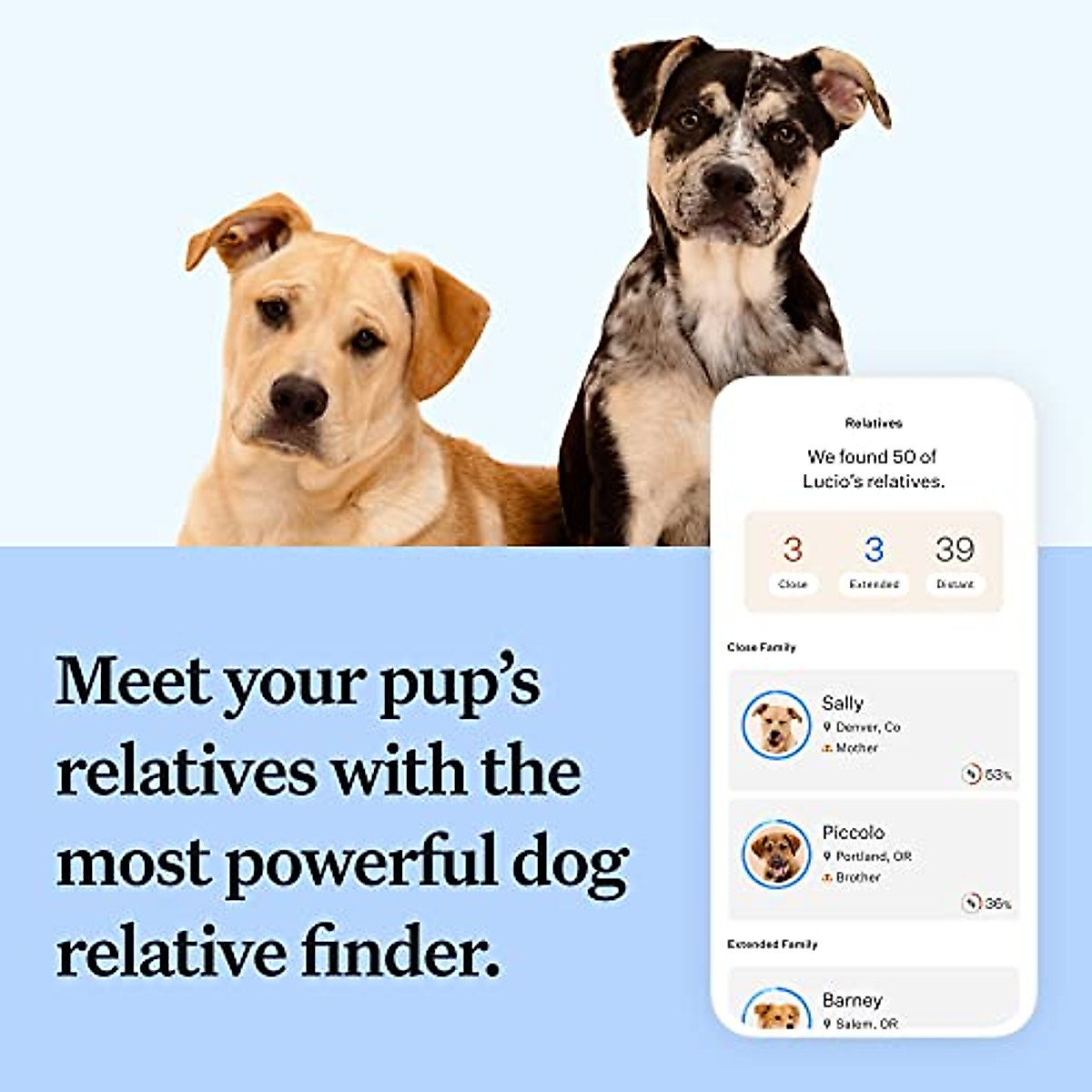 Wisdom Panel Breed Discovery Dog DNA Kit: Most Accurate Dog Breed Identification, Test for 350+ Breeds, MDR1 Health Test, Ancestry, Relatives