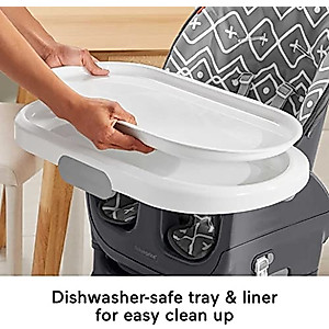 Fisher-Price Baby to Toddler Deluxe High Chair and Portable Booster Seat with Tray Liner Plus Washable Seat Pad and Tray, Gray Tribal