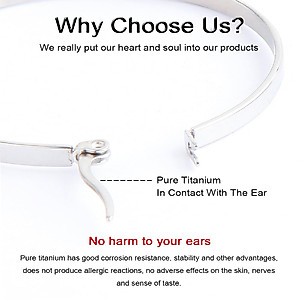 38 Titanium (Medical Grade Material) Fashion HOOP Earrings, Business Party Dress, Hundred Matching Ornaments Show Noble Temperament (Silver)