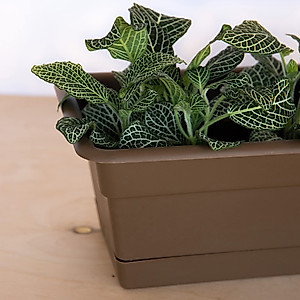 Bloem Dura Cotta Window Box Planter: 24" - Chocolate - with Tray, Weatherproof Resin Box, Removable Tray for Indoor & Outdoor Use, Gardening, 3 Gallon Capacity