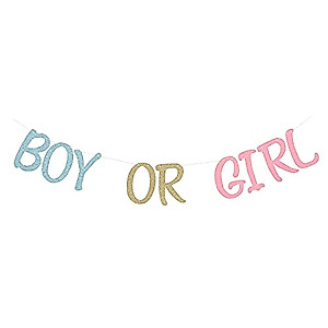 Glittery Boy or Girl Banner for Gender Reveal Party Decorations Photo Prop Baby Shower Backdrop