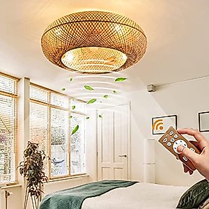 SaWaUto 20 Inch Cage Ceiling Fan, Farmhouse Low Profile Ceiling Fan with Remote Control, Mute Motor w/ Remote Control Flush Mount Ceiling Fan Lighting Fixture for Bedroom Living Room Kitchen