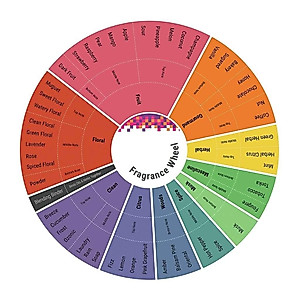 Incidence by Yves De Sistelle Eau De Parfum Spray 3.3 oz for Women