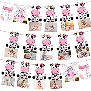 Cow First Birthday Party Decoration for Girls Pink Cow Theme 1st Birthday Photo Banner for Newborn to 12 Months for Baby Girls Farm Theme 1st Birthday Party Supplies