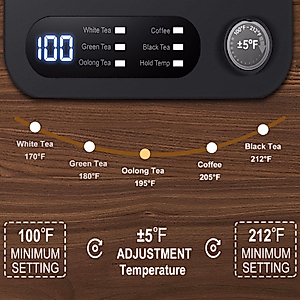 Gooseneck Electric Kettle - 1200W Quick Boil, Temp Control with 5 Presets & ±5℉ Adjustment, Accurate Pouring, 24oz Small Pour Over Coffee & Tea Kettle, 2H Auto Keep Warm, Stainless Steel, Black