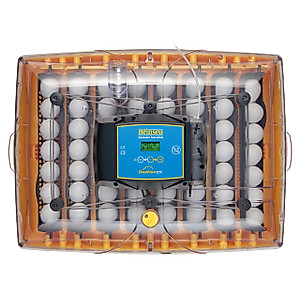 Brinsea Ovation 56 EX Egg Incubator With Automatic Egg Turning and Humidity Control for Hatching 56 Chicken, Duck, Other Bird Eggs, Precision Digital Controls, Temperature Alarms