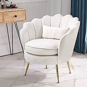 ZJhome Modern Accent Velvet Chairs Shell Shape Barrel Chairs Comfy Upholstered Vanity Chairs for Bedroom Armchair Chairs with Golden Metal Legs Makeup Chairs for Living Room (White)