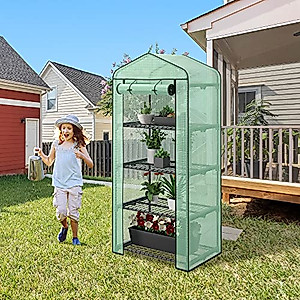 4 Tier Mini Greenhouse Indoor Outdoor with PE Cover and Roll-Up Zipper Door, Portable Waterproof Cloth Greenhouse Tent Grow Seeds & Seedlings, 2.3x1.5x5.3 FT