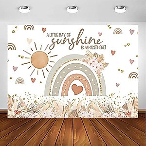 Avezano Boho Rainbow Baby Shower Backdrop Pampas Grass Boho Party Photography Background for Girl's Rainbow Sunshine Baby Shower Decoration Photoshoot (7x5ft)