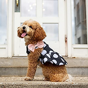 Christian Siriano New York Black Polka Dot Bubble Hem Dress for Dogs, XS