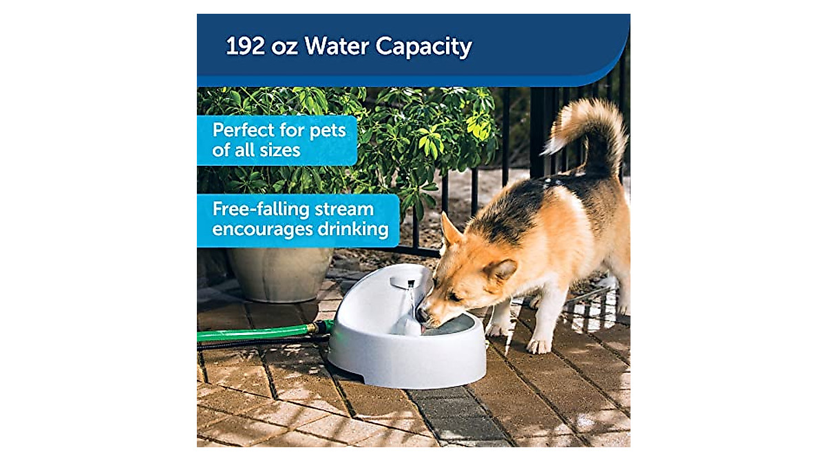 PetSafe Drinkwell Everflow Water Fountain - Large 192 oz Capacity