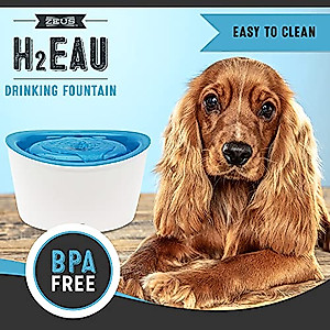 ZEUS H2EAU Elevated Dog and Cat Drinking Water Fountain with Purifying Filter, 6L Capacity