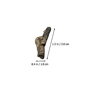 Scicalife Kids Toys 5Pcs Stromatoporoid Fossils Ordovician Bryozoan Fossils Specimens Ancient Marine Fossils Model Figurine Science Teaching Materials Random Style Kid Toys