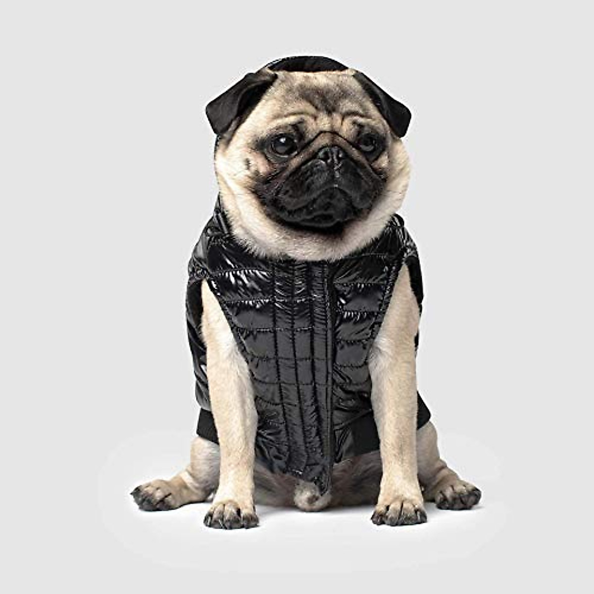 Canada Pooch Cp01747 Nordpol Parka Black Gloss Size 14