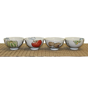 Set of 4 Porcelain Japanese Bowls W Gift Box for Ramen Noodle Udon Noodle Rice Vietnamese Soup Cereal Pho Popcorn Oatmeal (Vegetable)