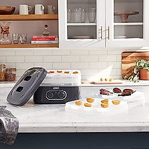 DASH DEHY100GY SmartStore™ Compact Electric Food Dehydrator Machine with 5 Stackable BPA Free Trays + Temperature Controls for Fruit, Vegetables, Herbs, Nuts, Jerky, and other Healthy Snacks - Gray