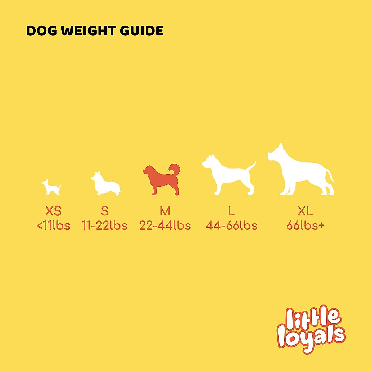 Little Loyals Himalayan Recipe Cheese Dog Chews - 100% Natural, Long-Lasting Treats for Aggressive Chewers, Puppies & Bored Dogs | Odorless, Protein-Rich, Gluten & Lactose-Free | Medium